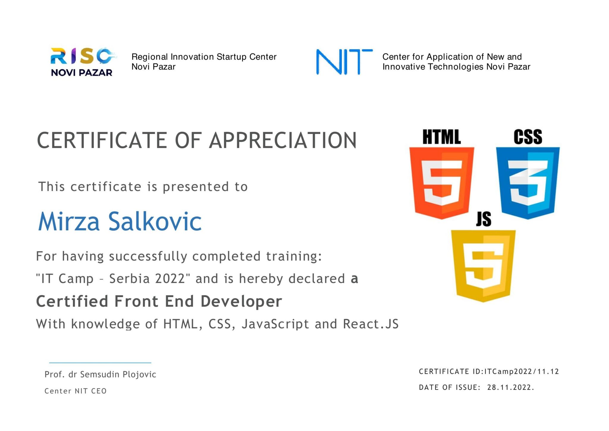 Mirza Salkovic - Full stack developer | LinkedIn